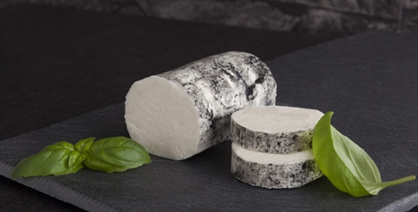 Goat Cheese | Dairy & Fresh | Benina Qatar | Premium Food Importers and ...