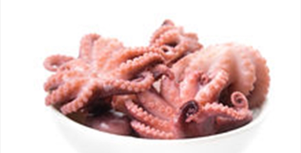 Octopuses | Seafood | Benina Qatar | Premium Food Importers and ...